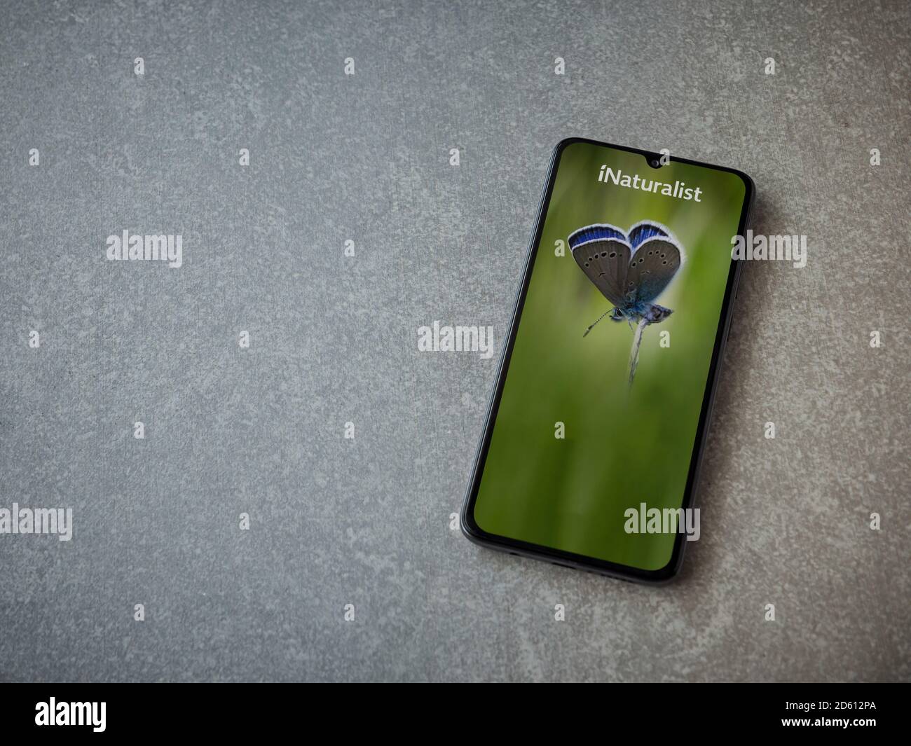 Lod, Israel - July 8, 2020: iNaturalist app launch screen with logo on ...