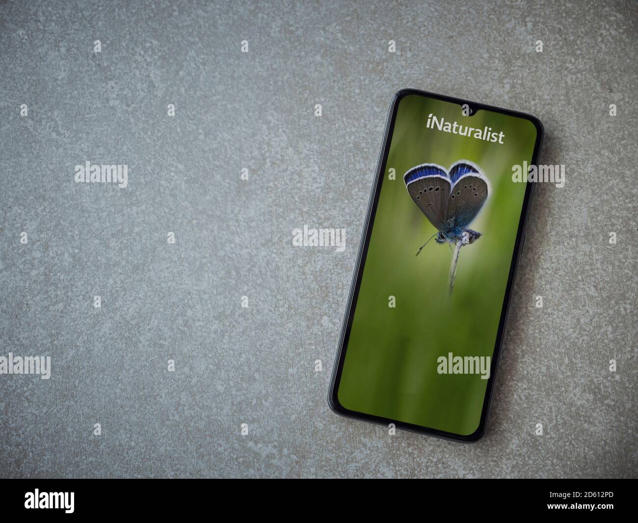 Lod, Israel - July 8, 2020: iNaturalist app launch screen with logo on ...