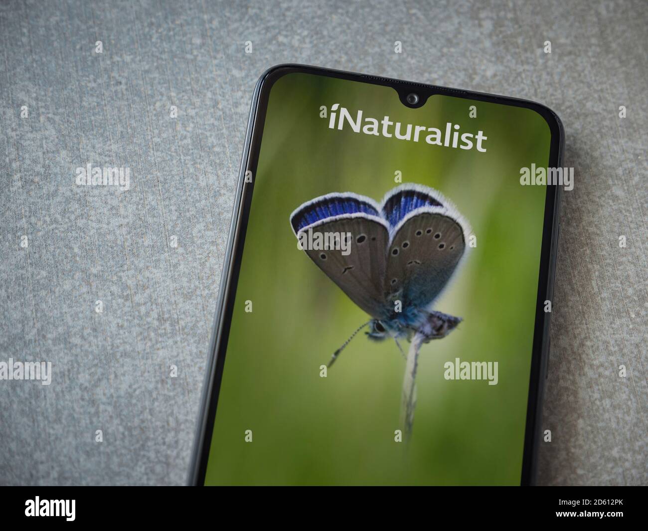 Lod, Israel - July 8, 2020: iNaturalist app launch screen with logo on ...