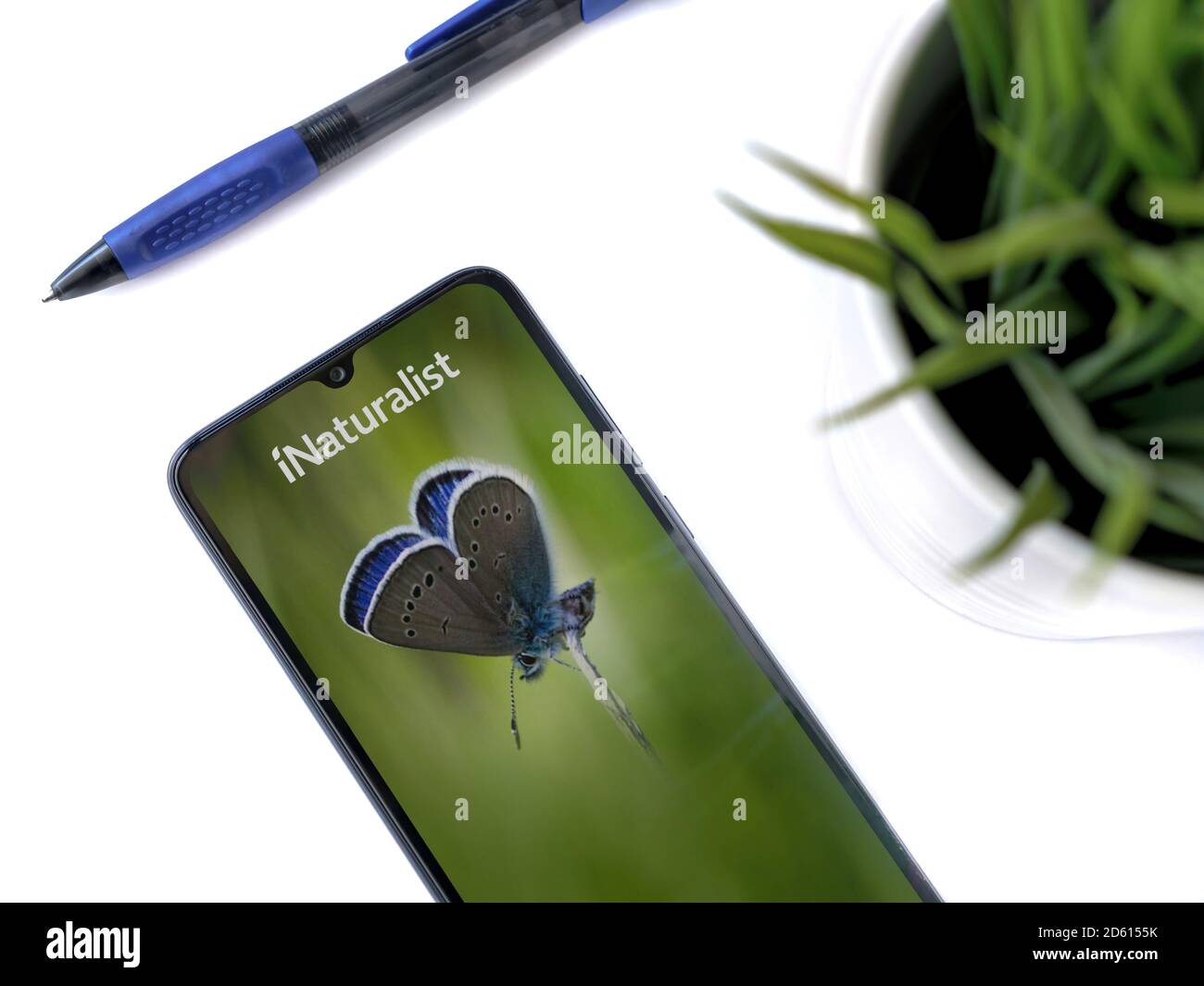 Inaturalist app hi-res stock photography and images - Alamy