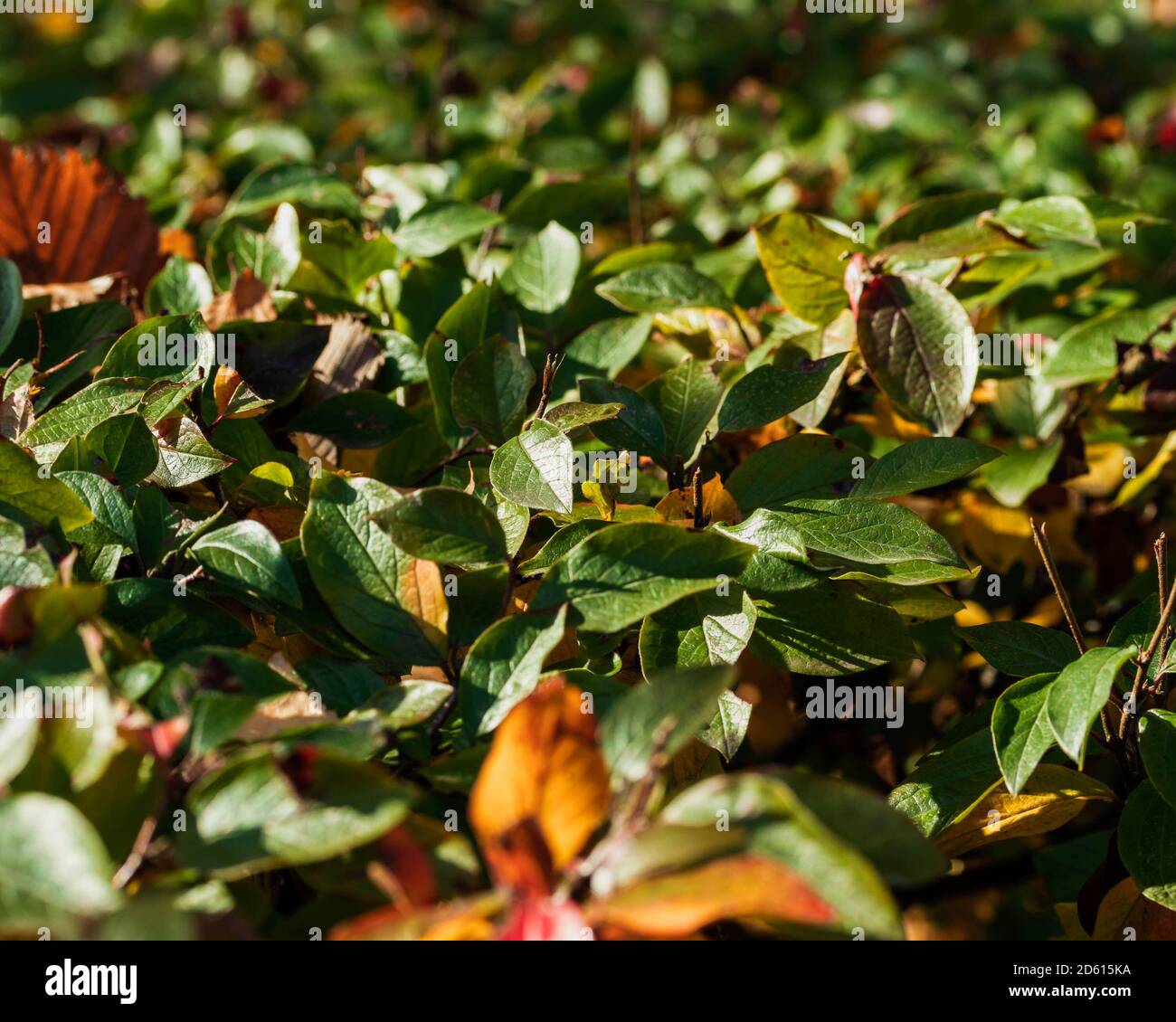 Signs of autumn hi-res stock photography and images - Alamy