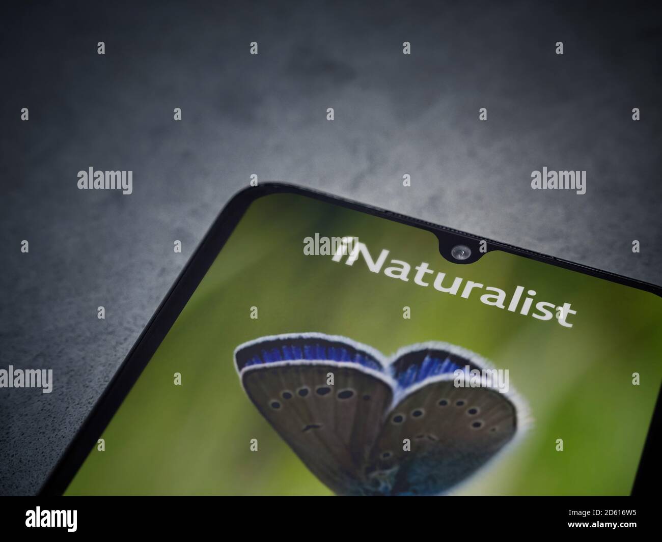Lod, Israel - July 8, 2020: iNaturalist app launch screen with logo on ...