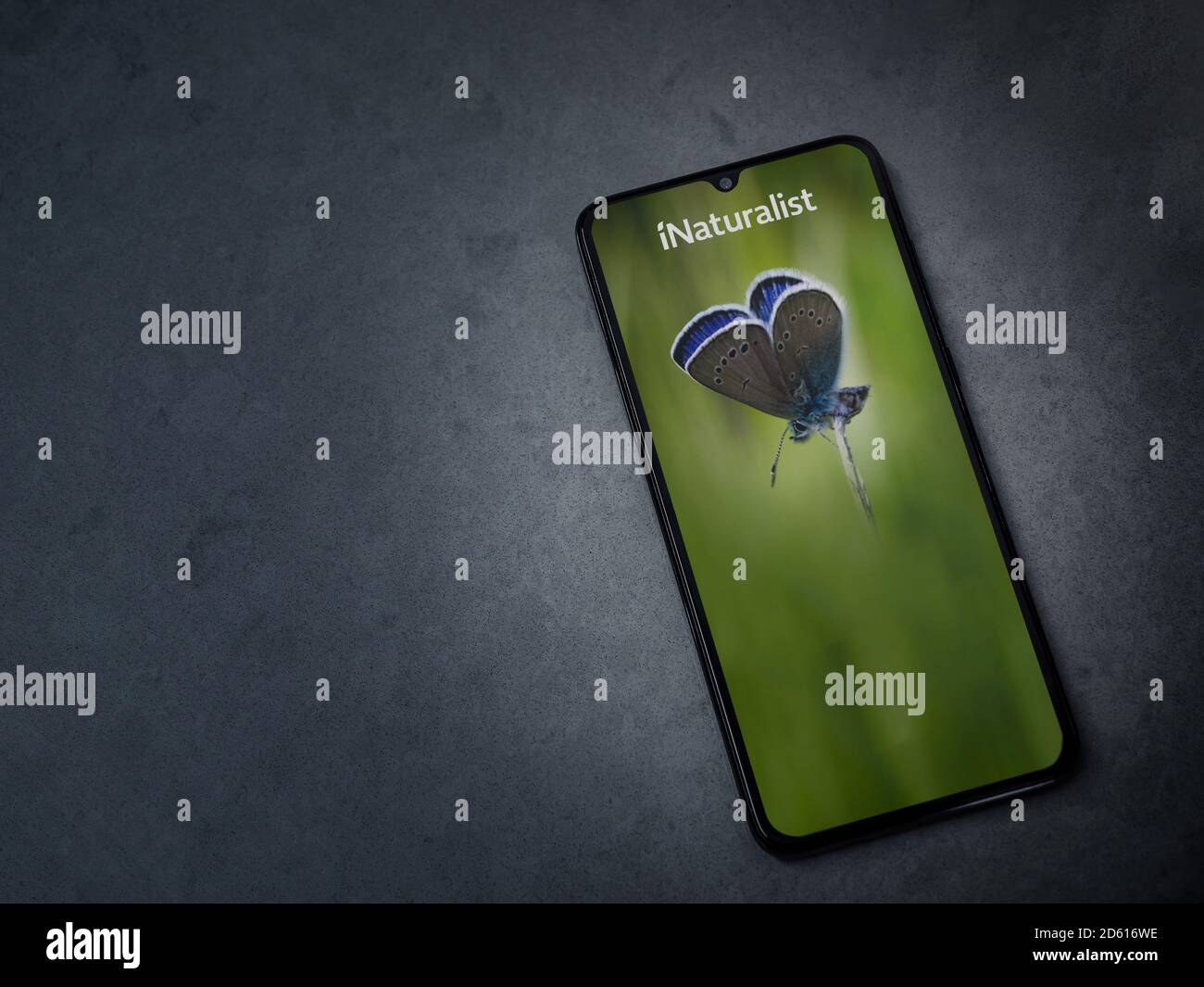 Lod, Israel - July 8, 2020: iNaturalist app launch screen with logo on ...