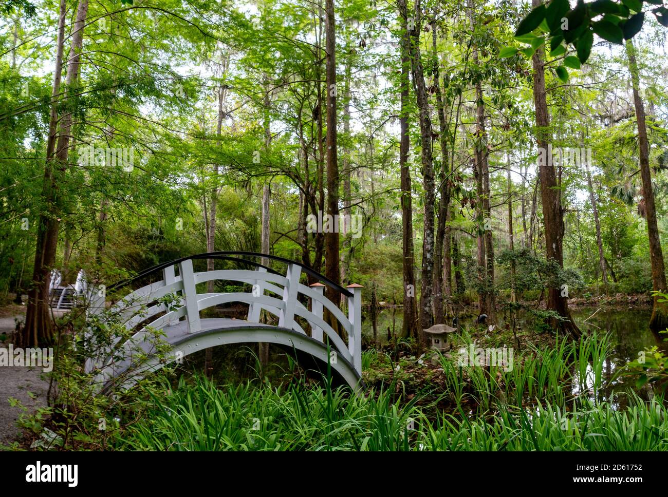 A white wood arch bridge from the Magnolia Plantation and Gardens Stock ...