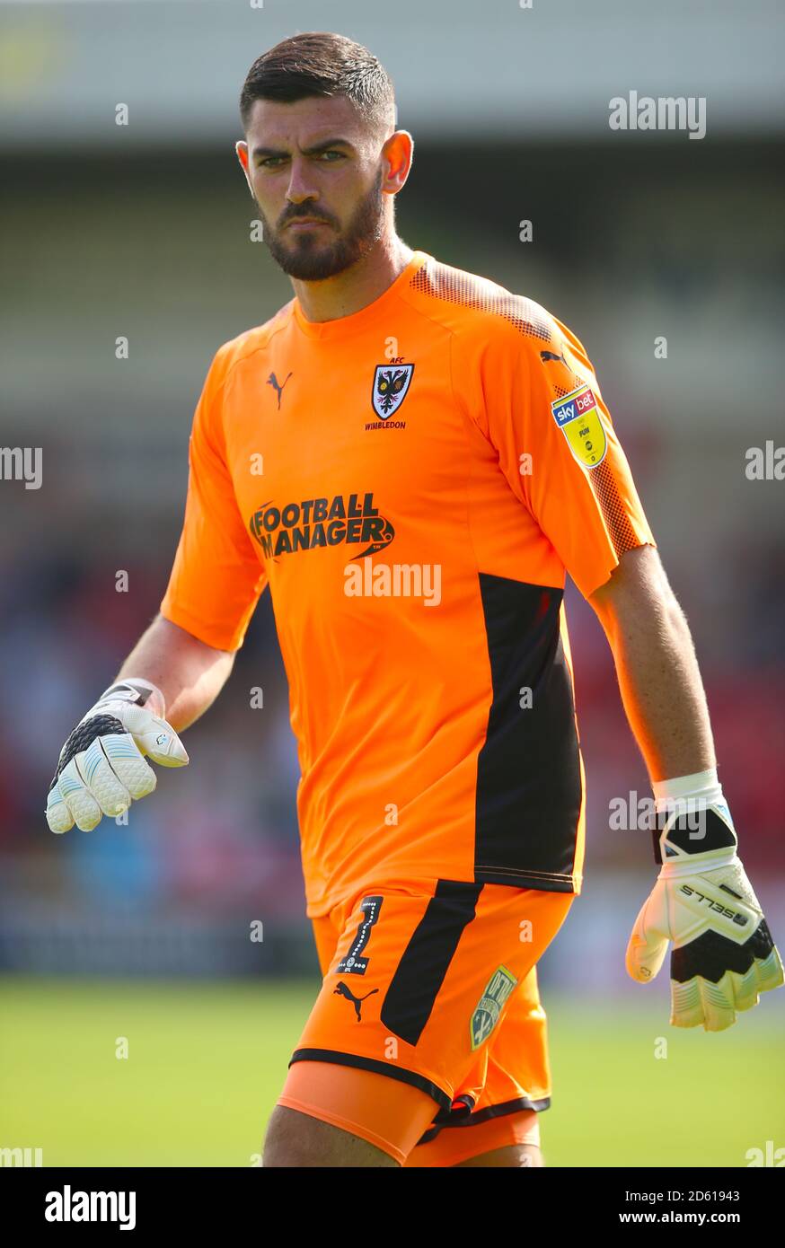 AFC Wimbledon goalkeeper Tom King Stock Photo - Alamy