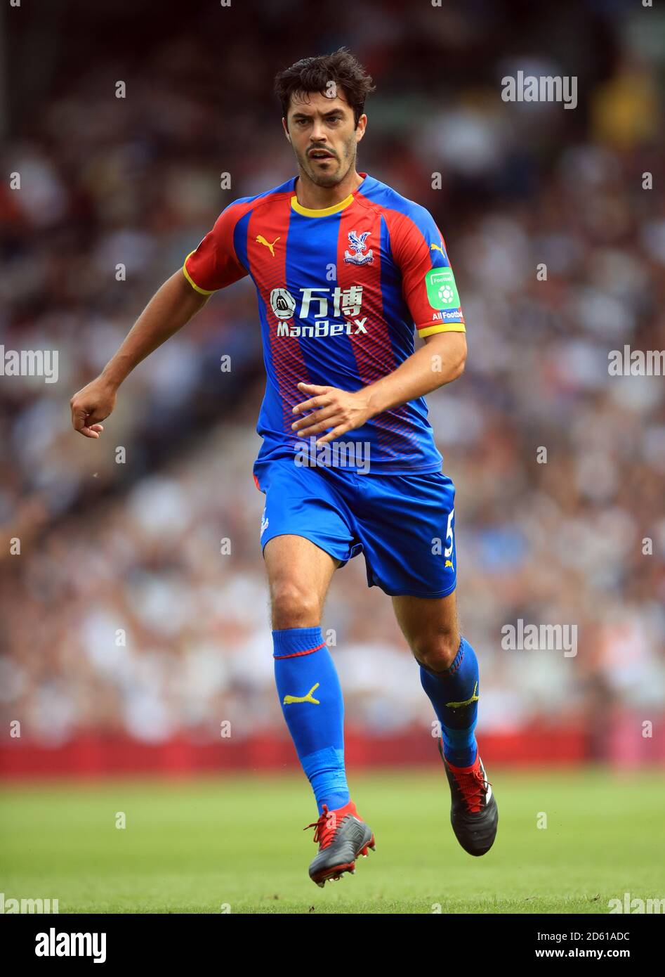 Crystal Palace's James Tomkins Stock Photo - Alamy