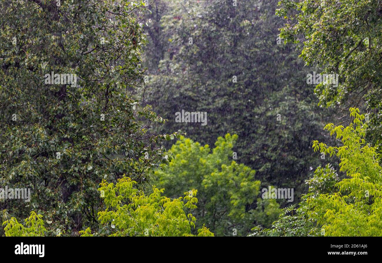 Rain drops falling fast green hi-res stock photography and images - Alamy