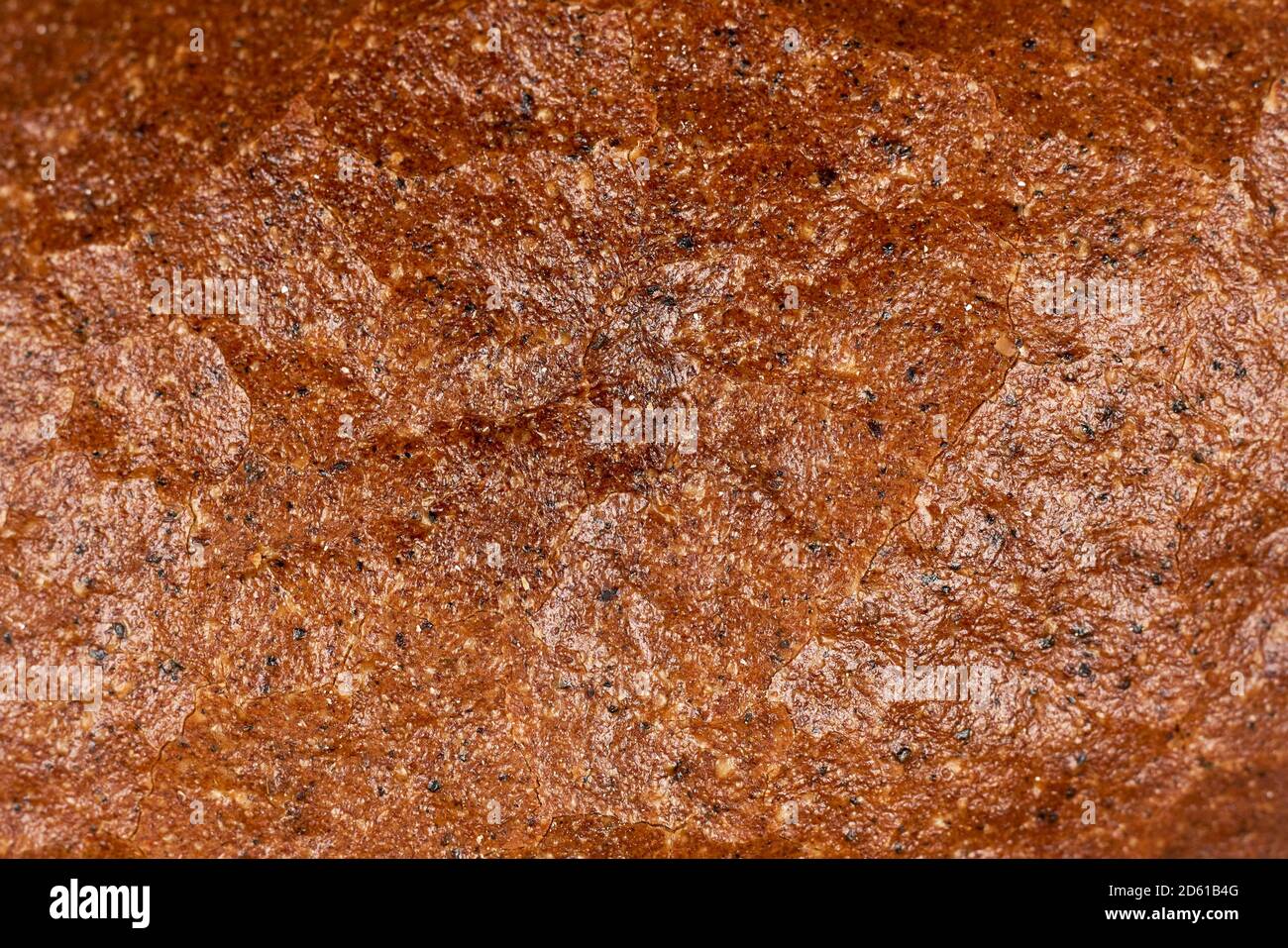 Close-up shot of loaf bread surface. The texture of bread. Copy space ...