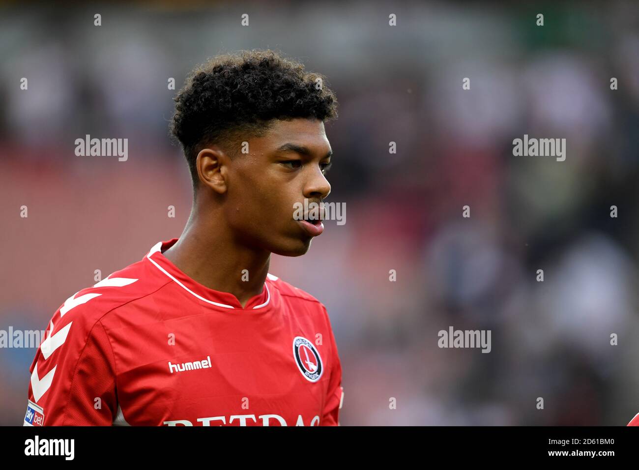 Hackett fairchild hi-res stock photography and images - Alamy