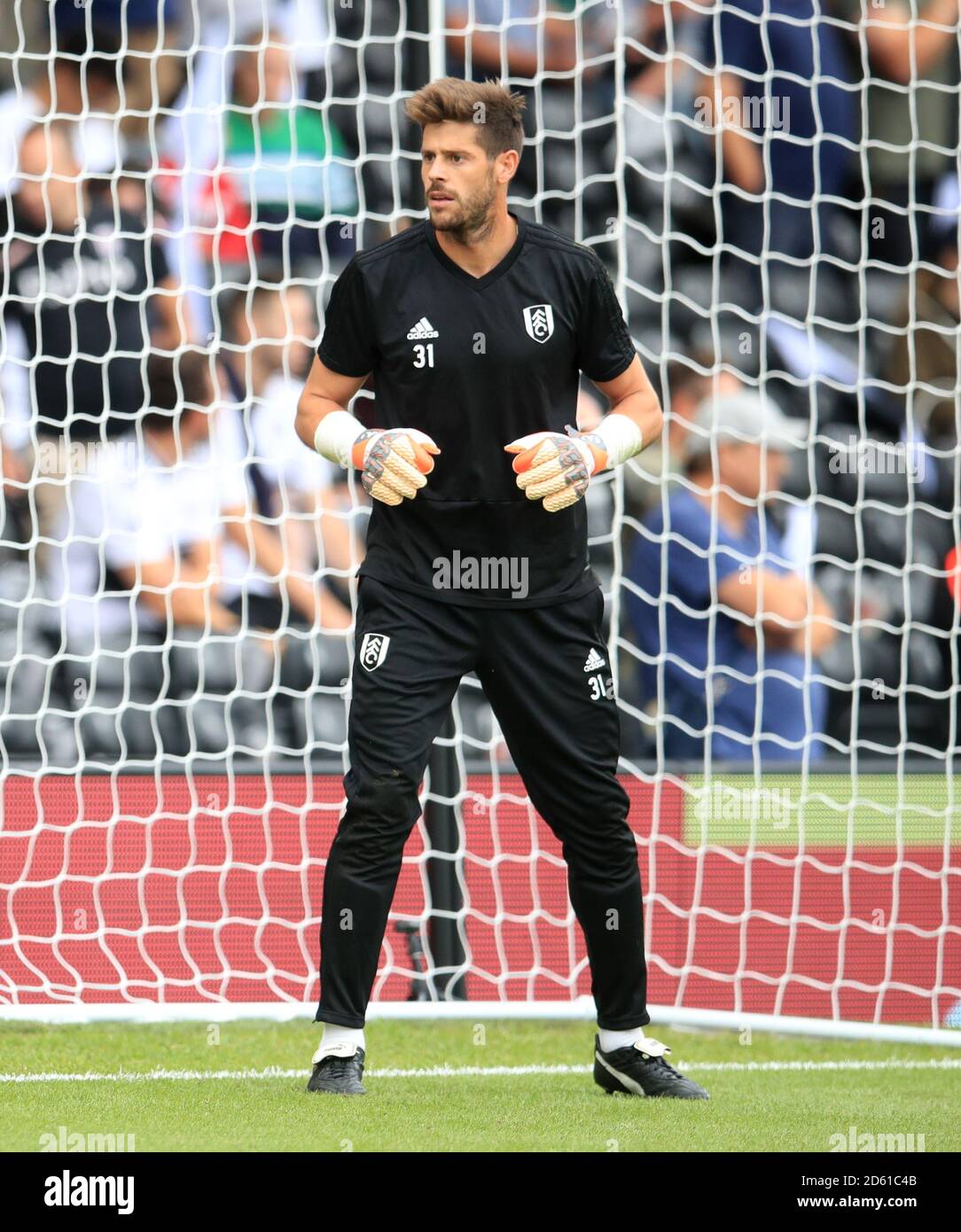 Fulham goalkeeper Fabri Stock Photo - Alamy