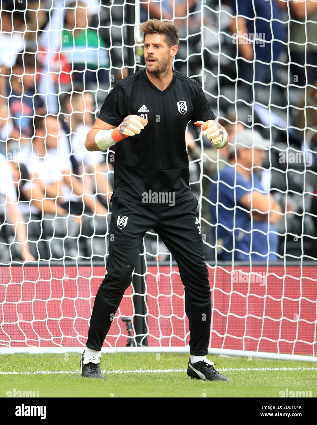 Fulham goalkeeper Fabri Stock Photo - Alamy