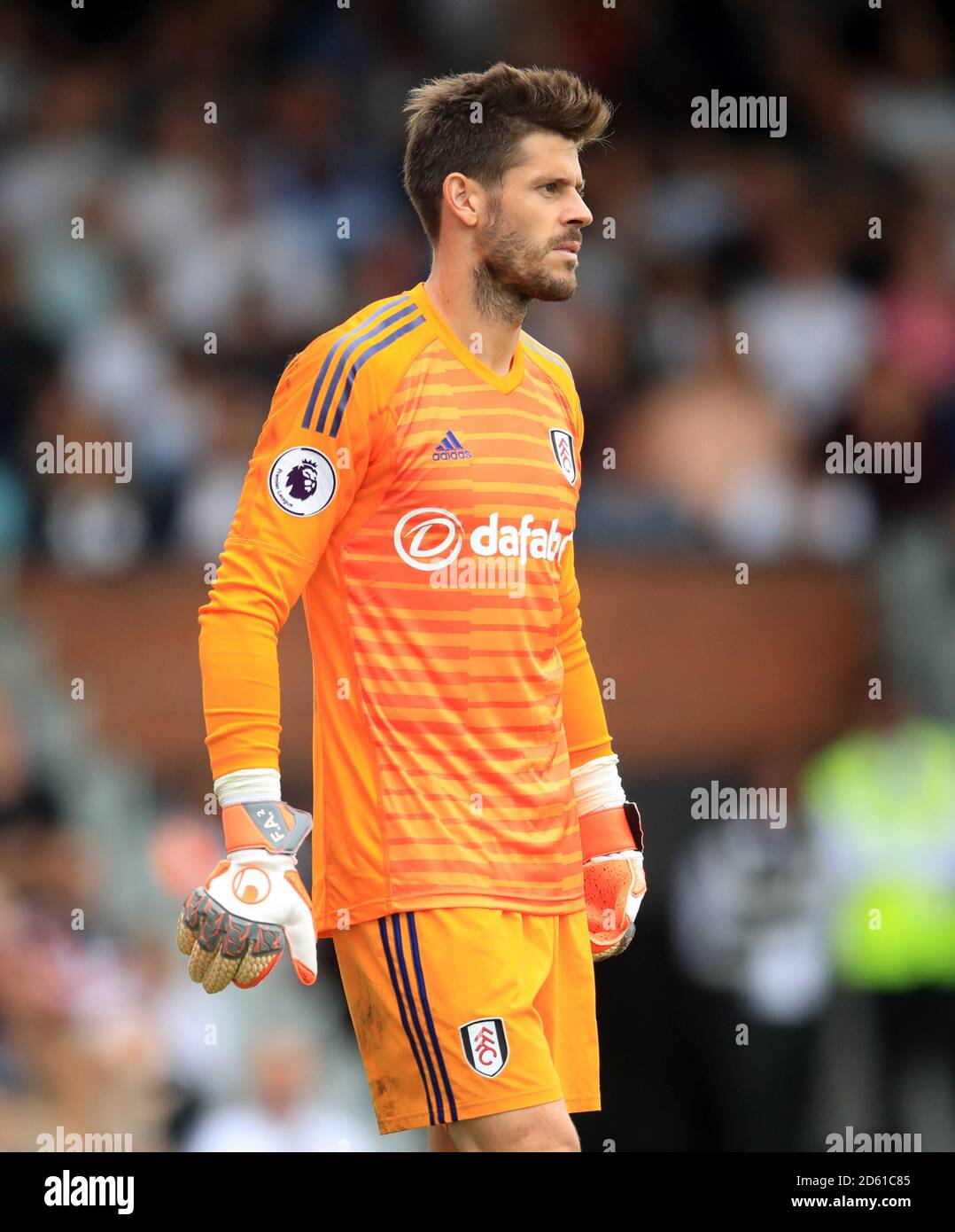 Fulham goalkeeper Fabri Stock Photo - Alamy
