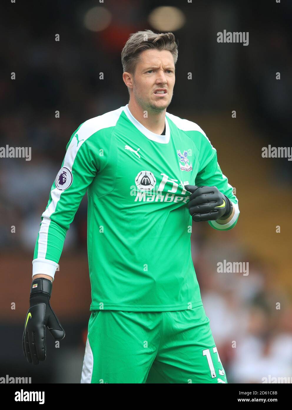Crystal Palace goalkeeper Wayne Hennessey Stock Photo - Alamy