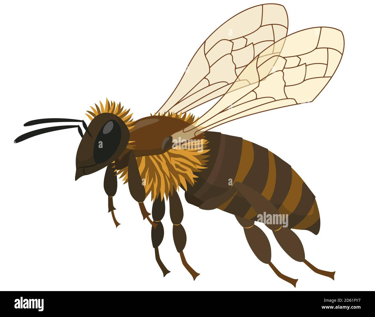 Cartoon insect Stock Vector Images - Alamy