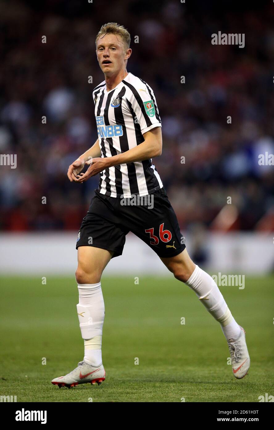 Newcastle United's Sean Longstaff Stock Photo - Alamy