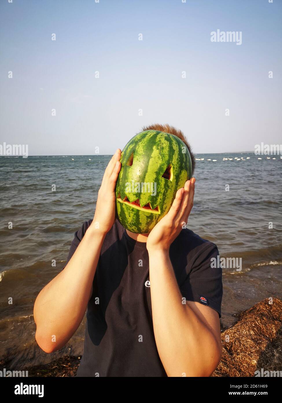 Mask melon hi-res stock photography and images - Alamy