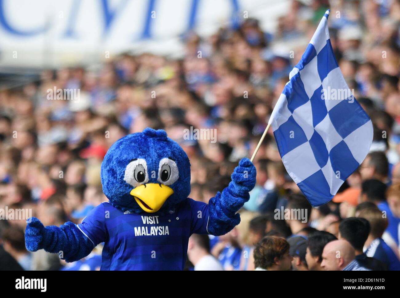 Cardiff City mascot Bartley Bluebird Stock Photo - Alamy