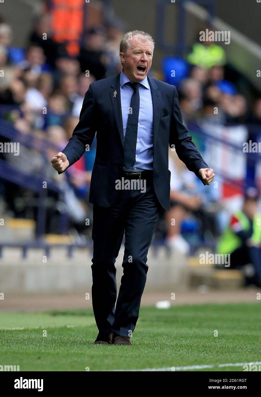 Queens Park Rangers' Steve McClaren Stock Photo - Alamy