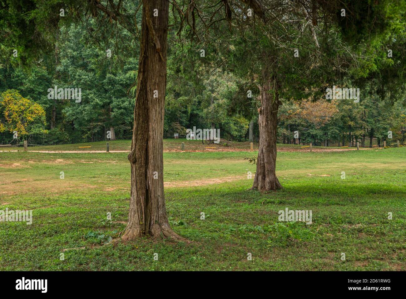 A farm scene looking through two cedar trees at a couple of beehives ...