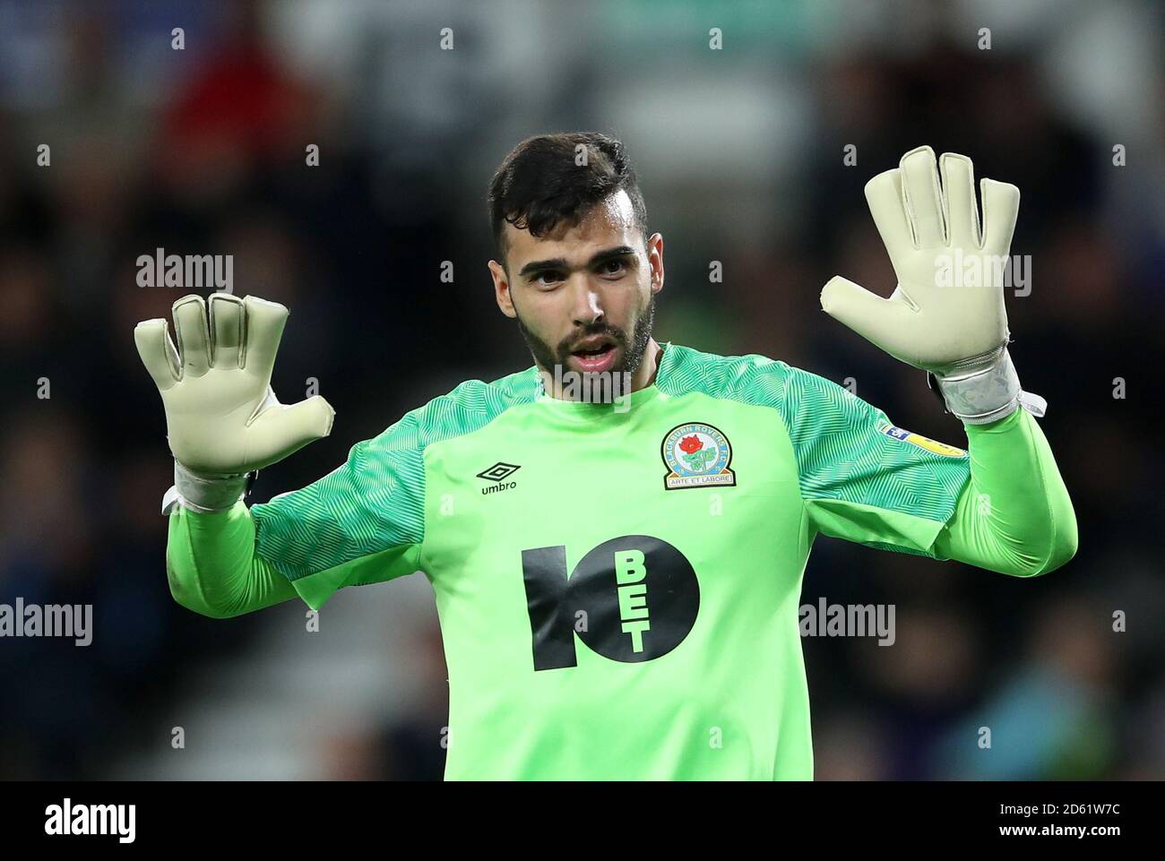 Blackburn Rovers goalkeeper David Raya Stock Photo - Alamy
