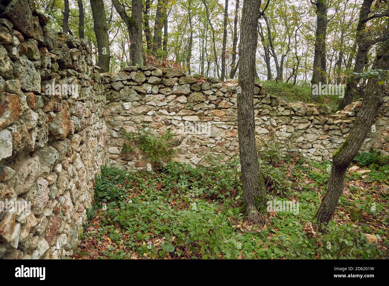 Old stone wall forest hi-res stock photography and images - Alamy