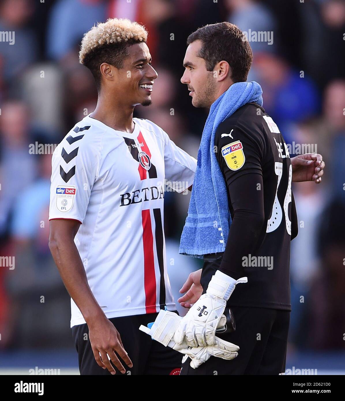 Shea taylor hi-res stock photography and images - Alamy