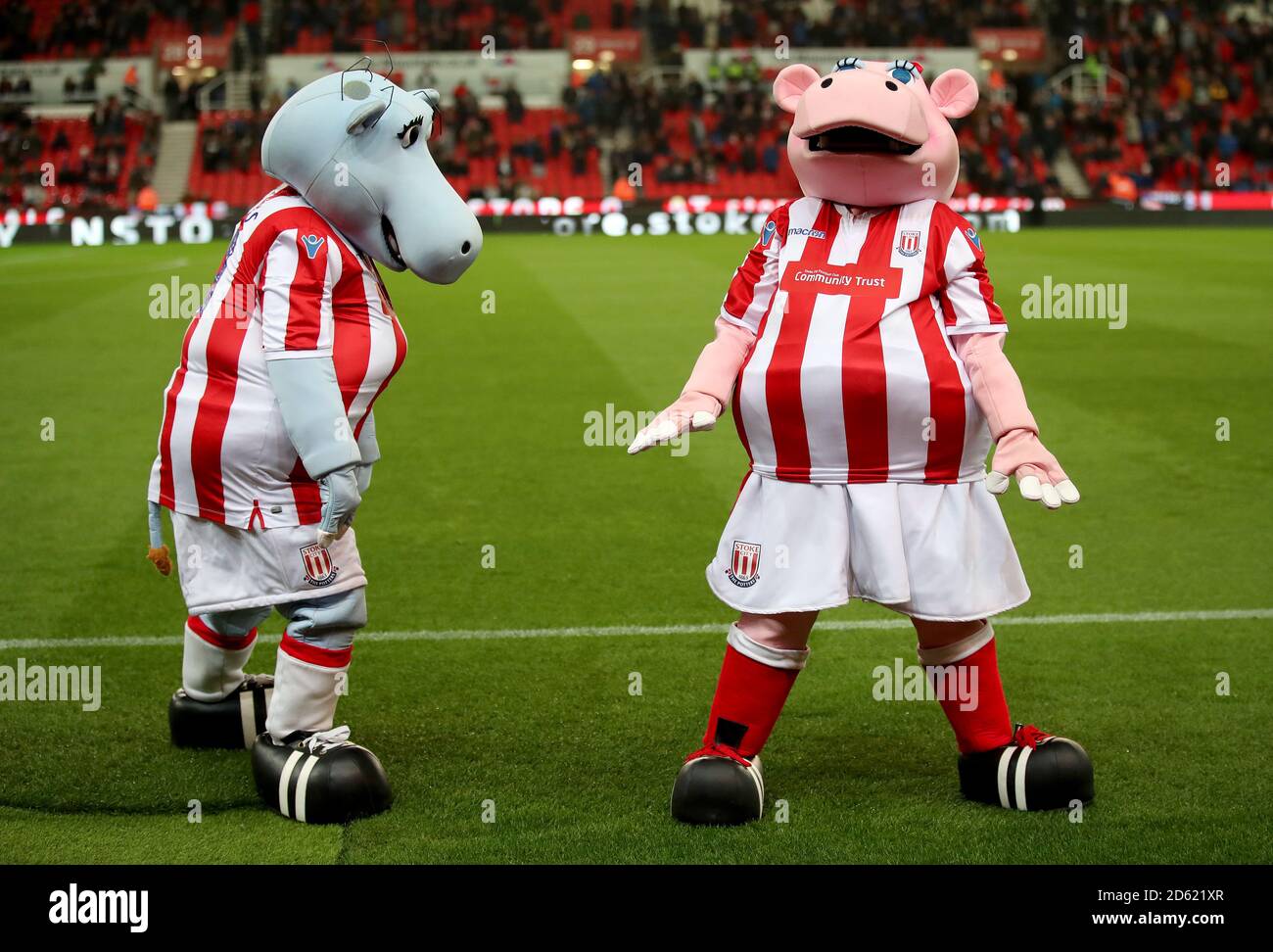 Stoke City mascots Pottermus Hippo and Pottermiss Hippo Stock Photo - Alamy