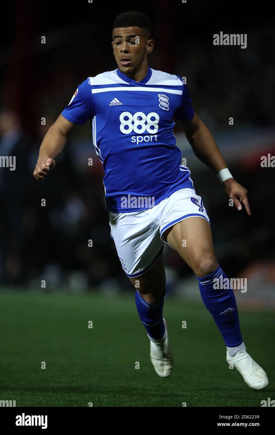 Che adams brentford hi-res stock photography and images - Alamy