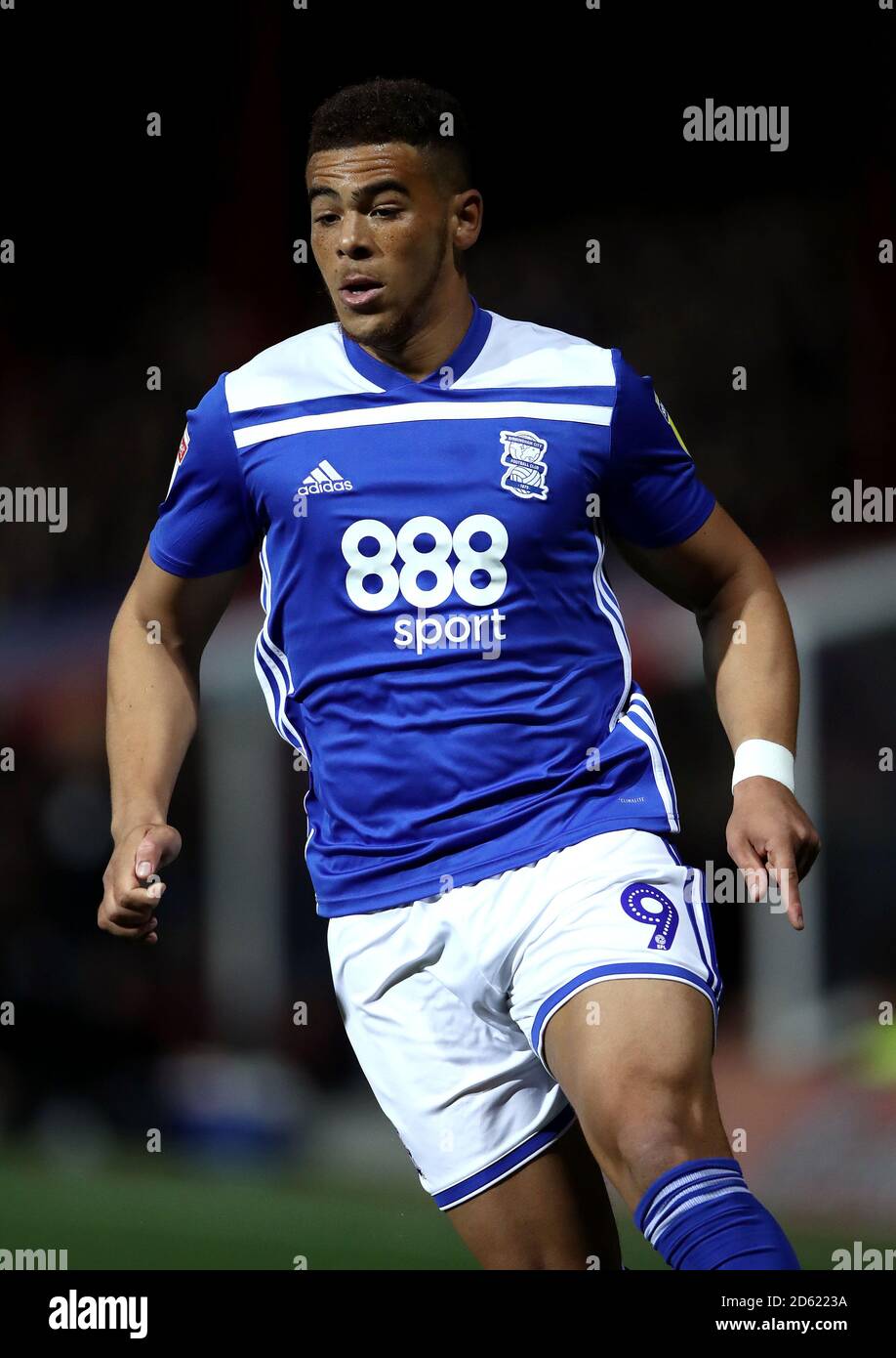 Che adams brentford hi-res stock photography and images - Alamy