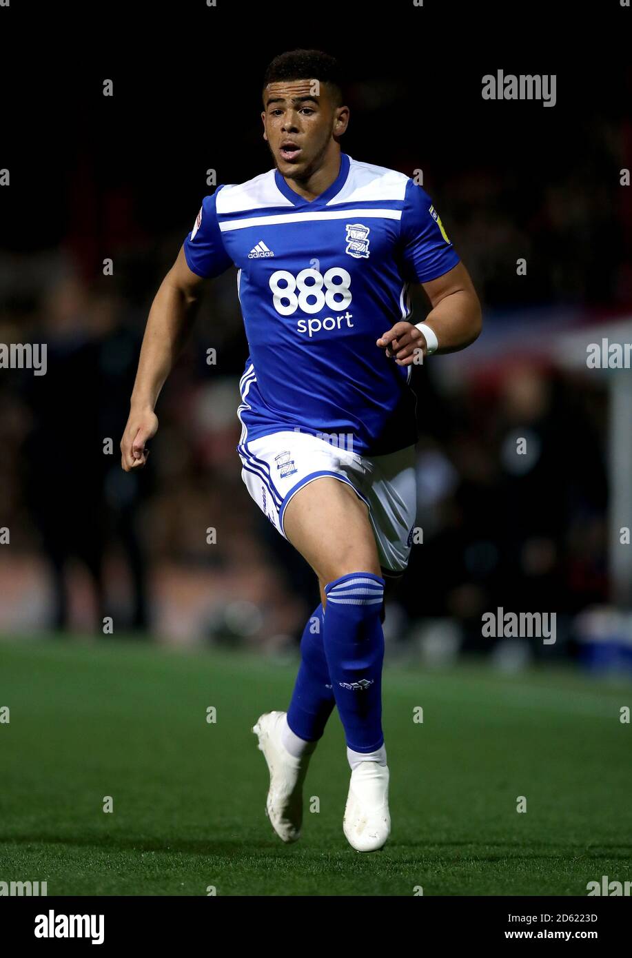 Che adams brentford hi-res stock photography and images - Alamy