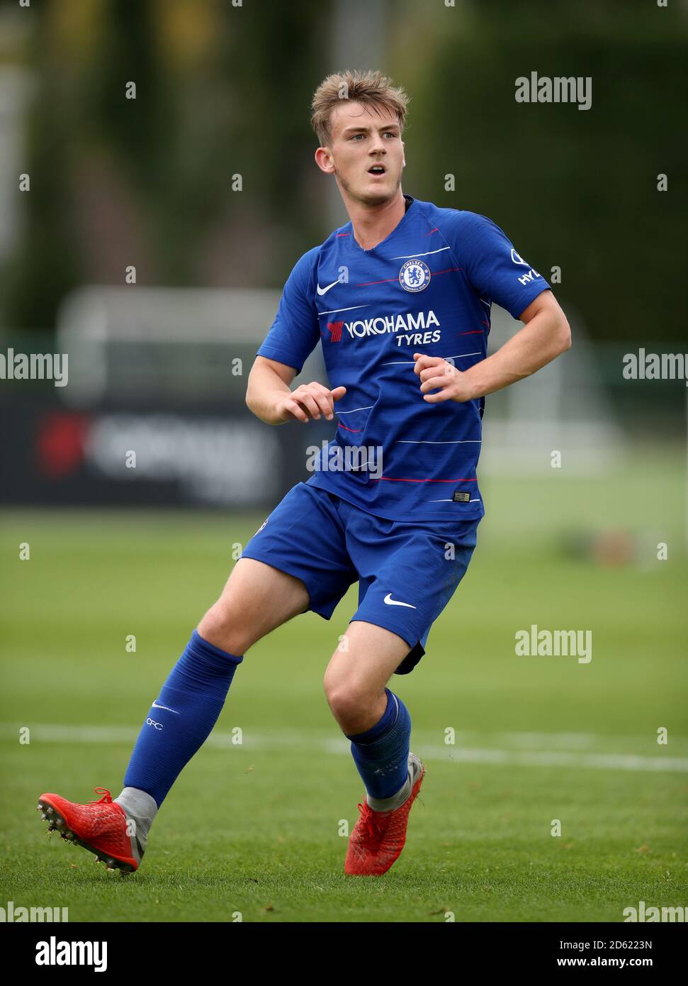 Chelsea's Charlie Brown Stock Photo - Alamy