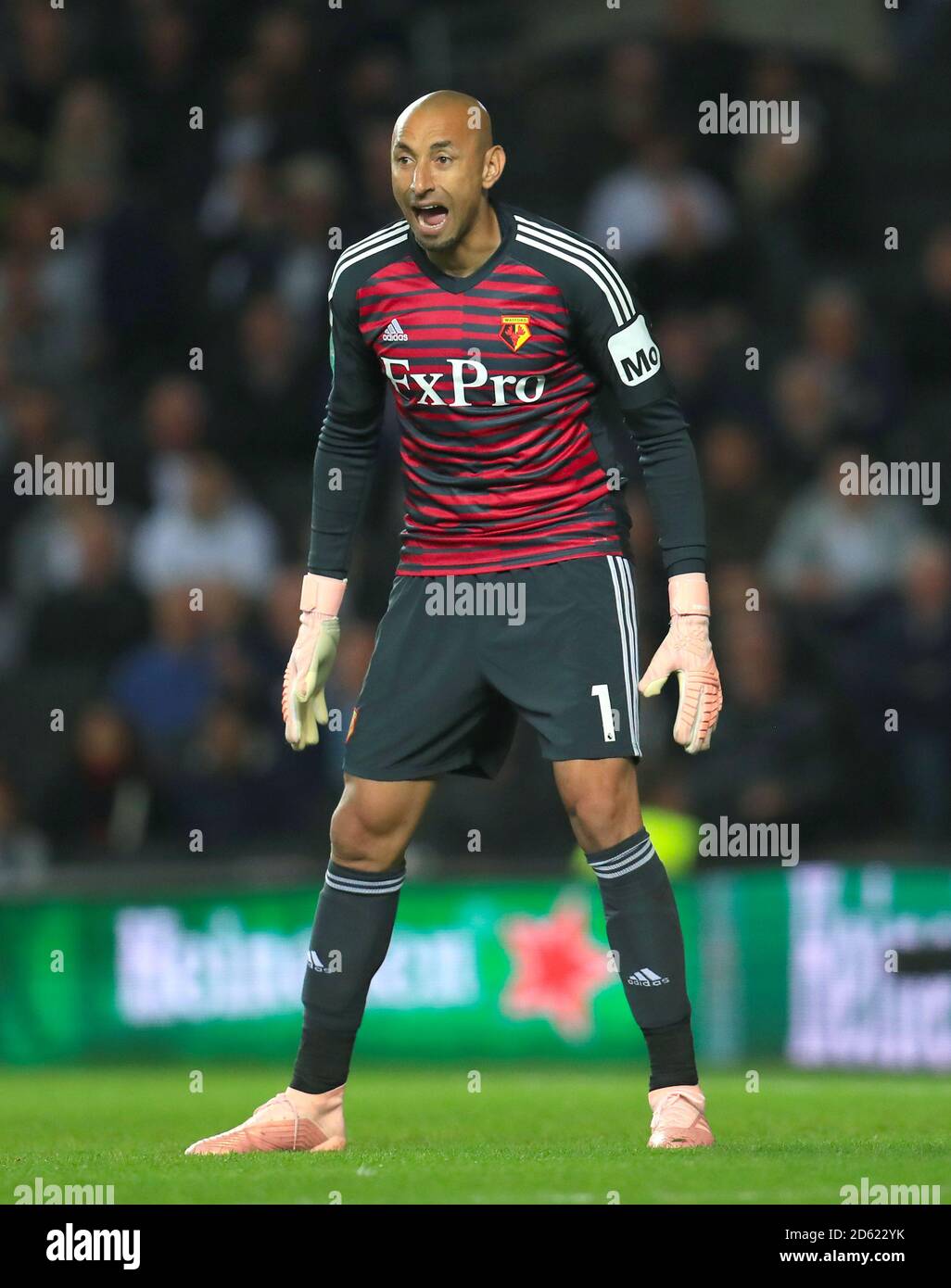 Watford goalkeeper Heurelho Gomes Stock Photo - Alamy