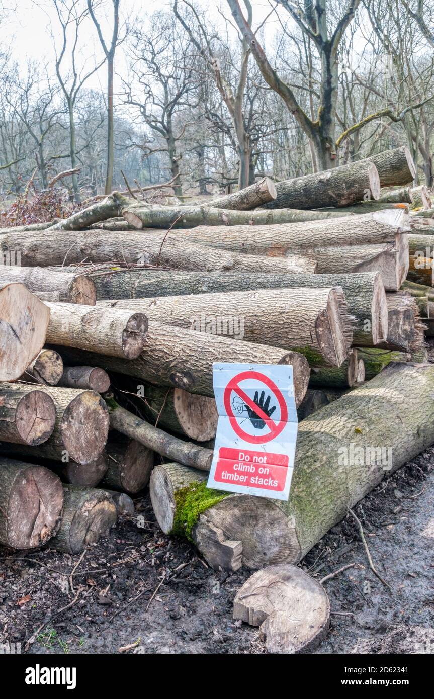 Do Not Climb On Timber Stacks sign on felled logs in Cobham Woods Stock ...