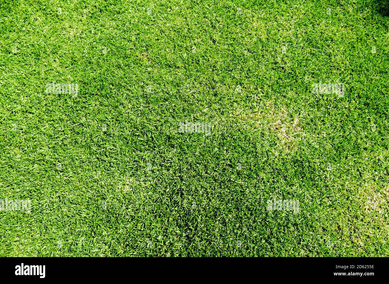 Green Grass Pattern Texture Stock Photo - Alamy