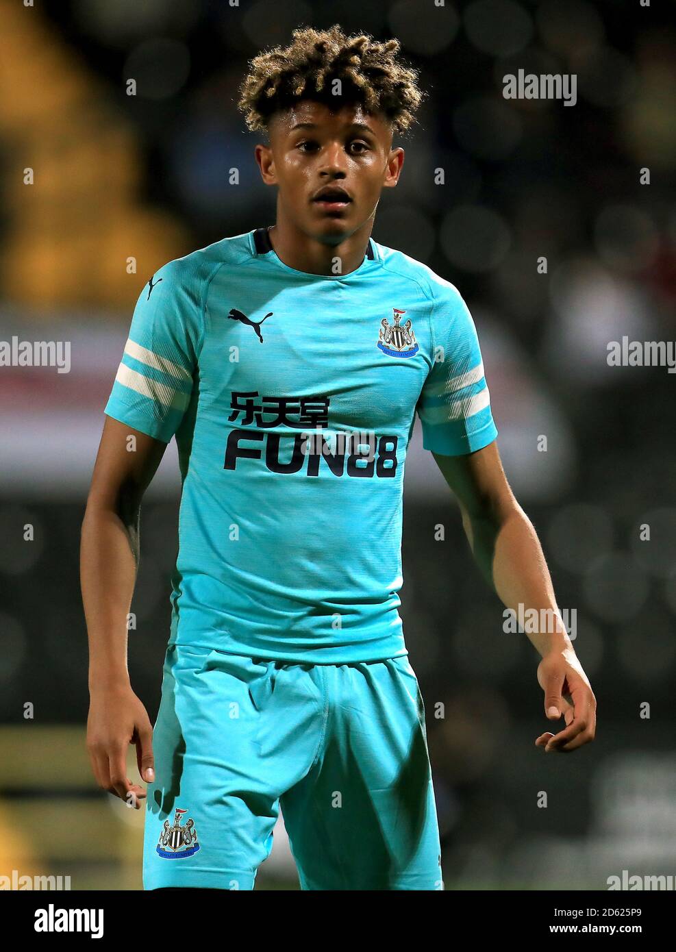 Adam wilson hi-res stock photography and images - Alamy