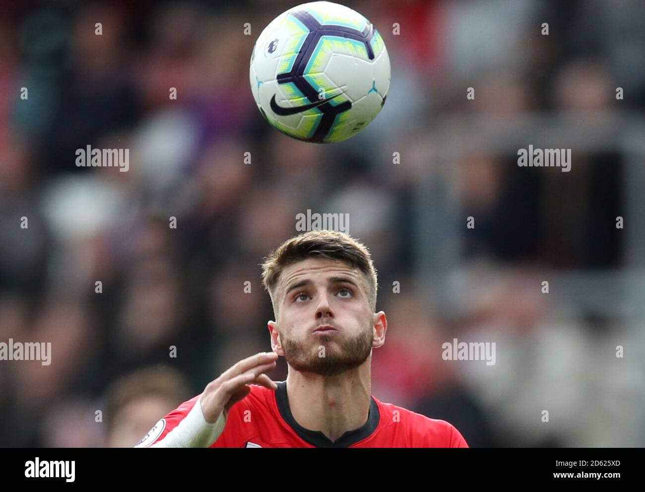 Southampton's Wesley Hoedt Stock Photo - Alamy