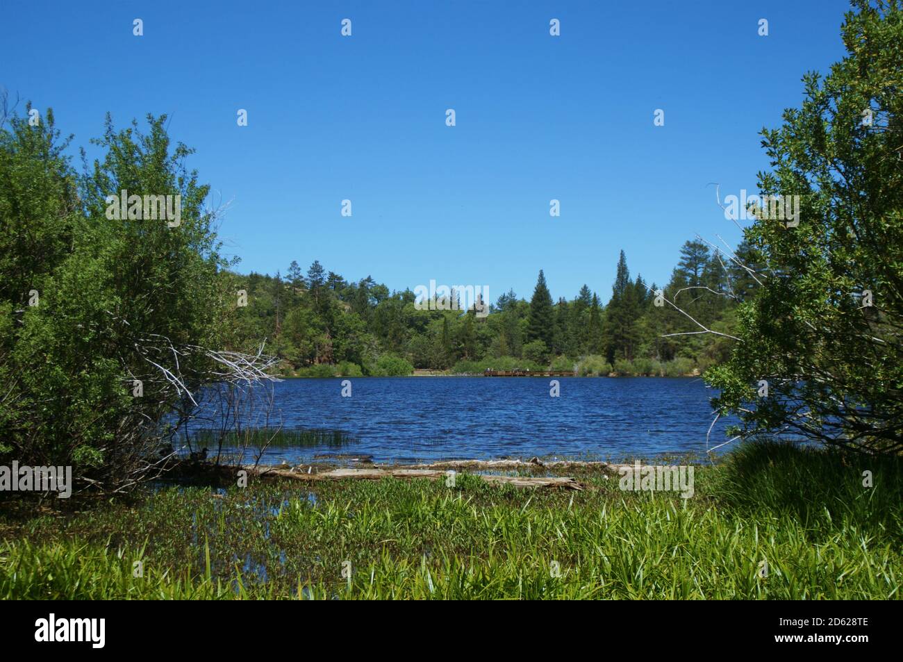 Green and jenks hi-res stock photography and images - Alamy