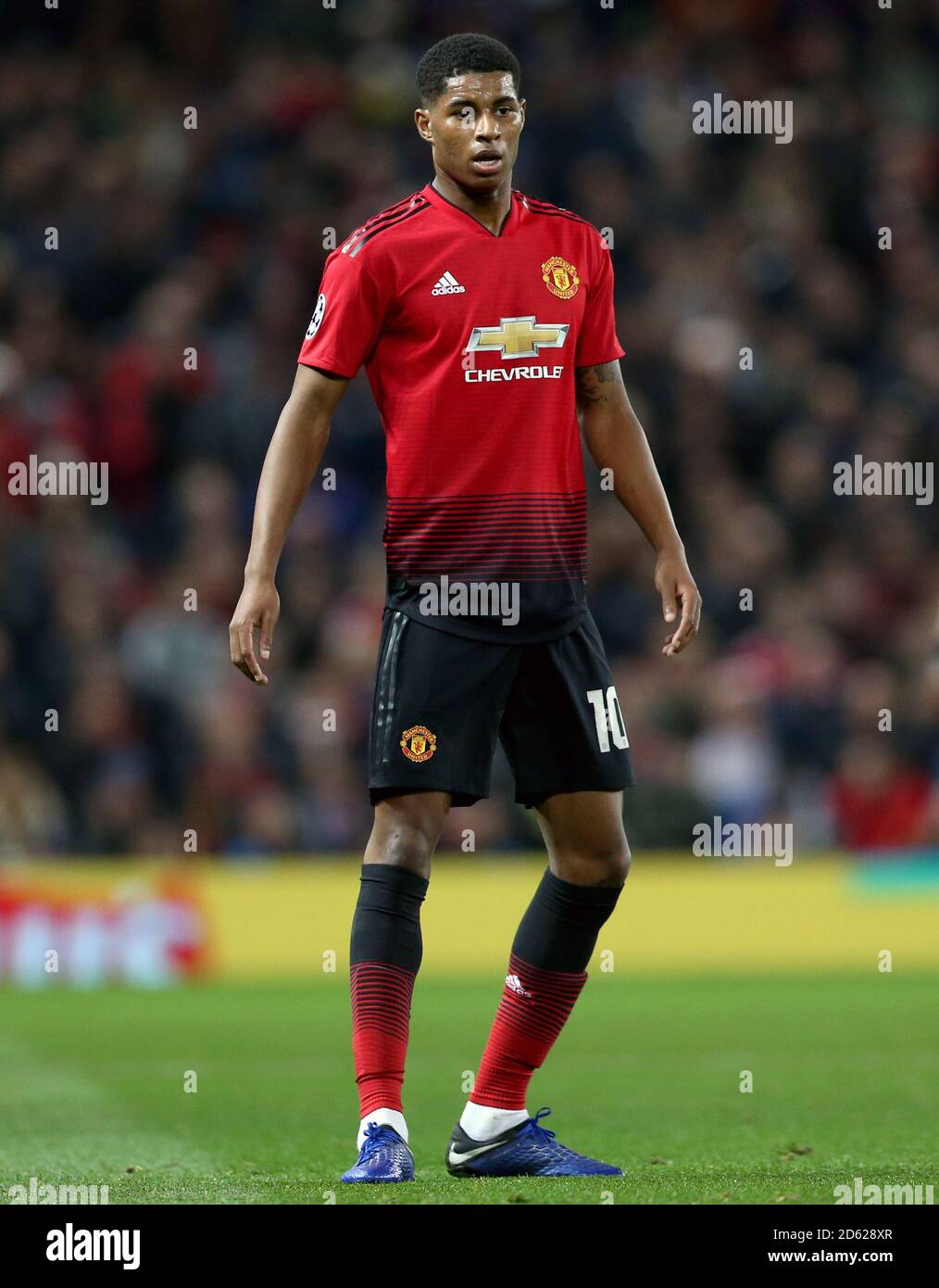 Manchester United's Marcus Rashford Stock Photo - Alamy