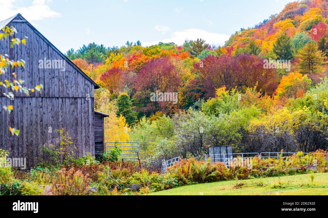 Grey barn hi-res stock photography and images - Alamy