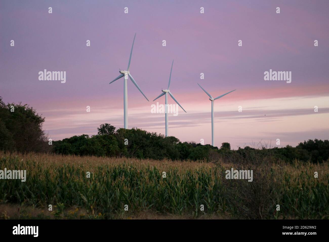 Three windmills in the country Stock Photo - Alamy