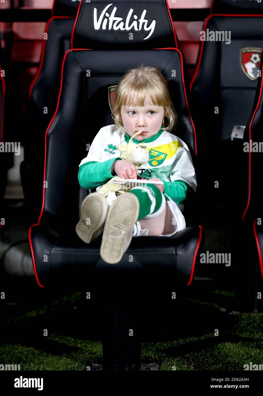 Norwich city mascot hi-res stock photography and images - Alamy