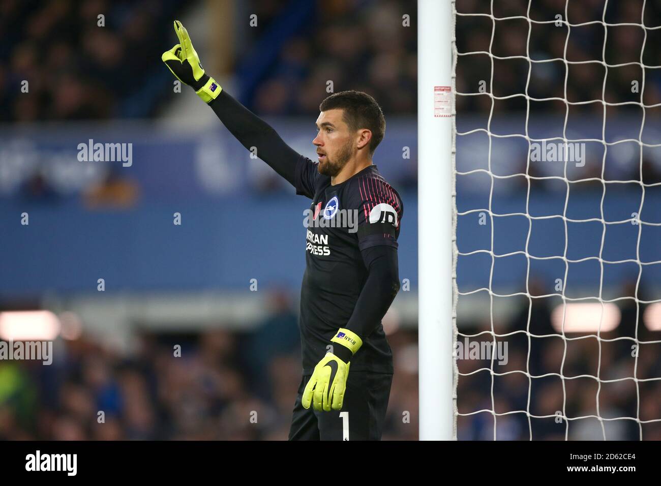 Brighton & Hove Albion goalkeeper Mathew Ryan Stock Photo - Alamy