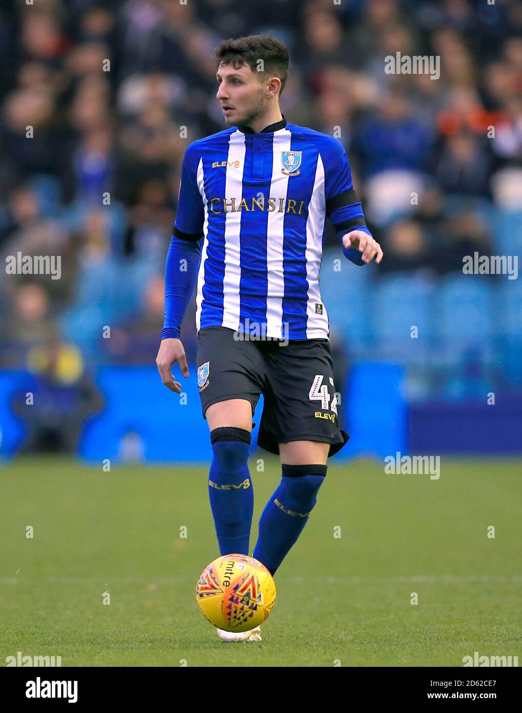 Matt penney hi-res stock photography and images - Alamy