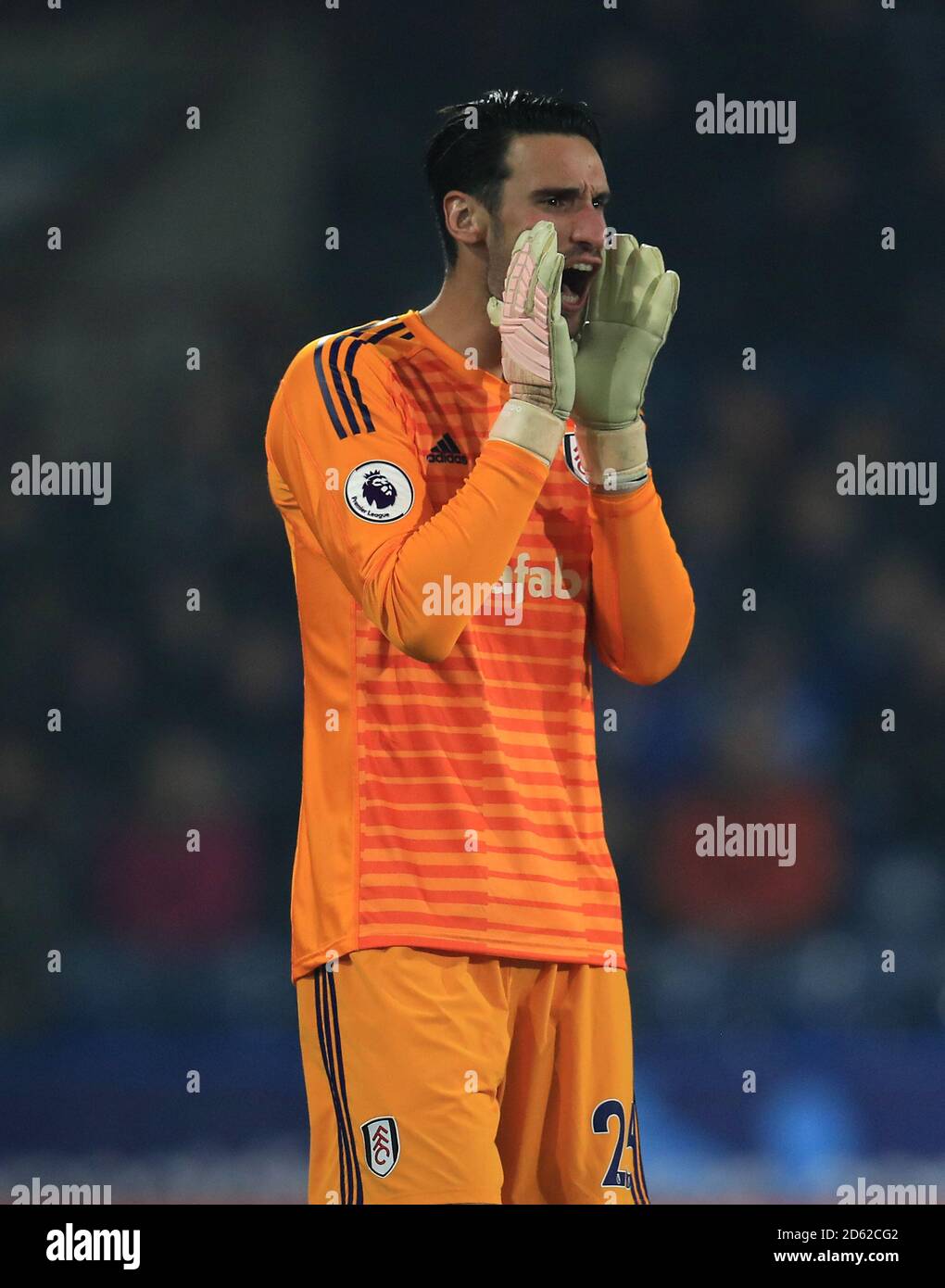 Fulham goalkeeper Sergio Rico Stock Photo - Alamy