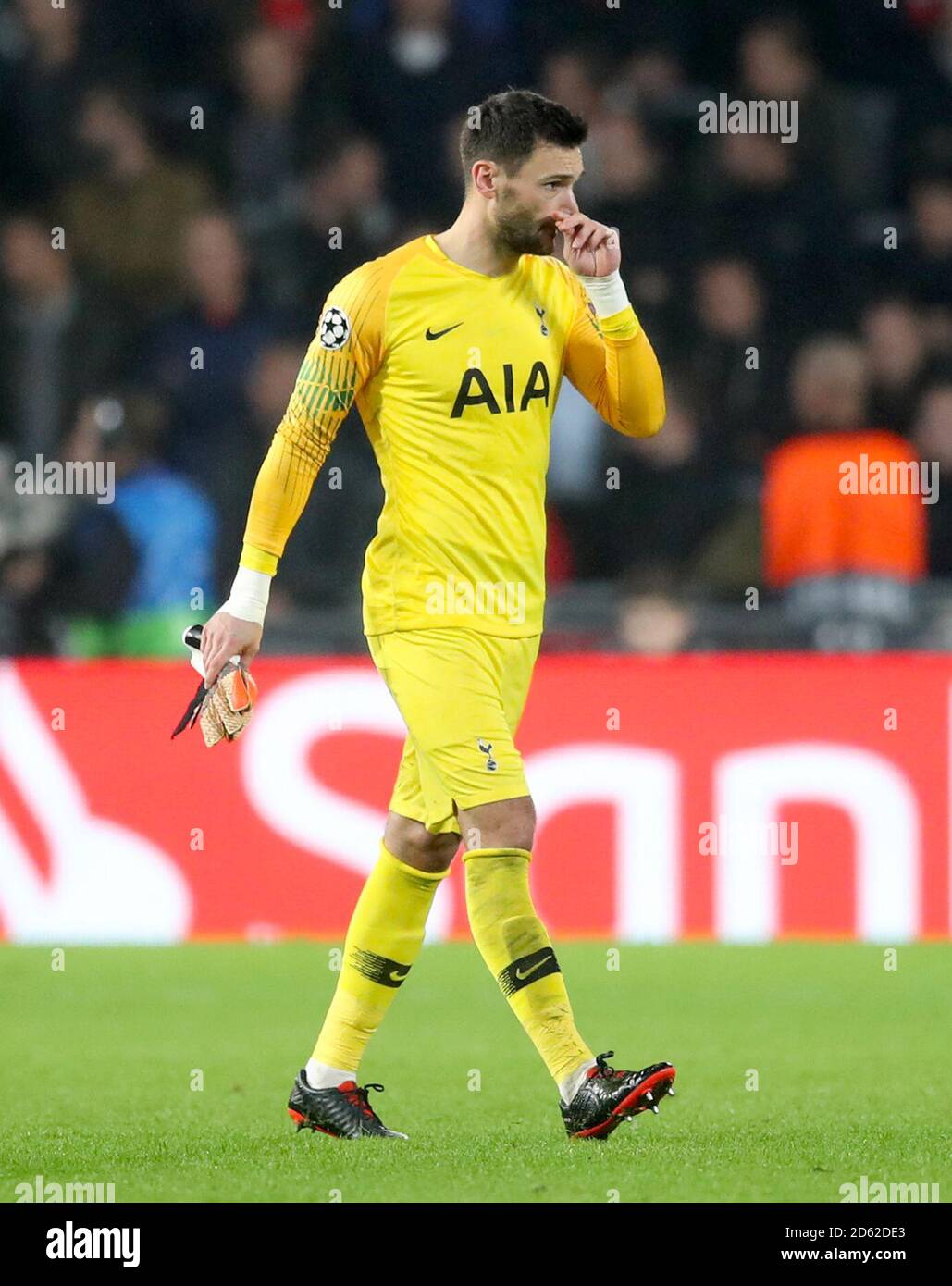 Tottenham Hotspur goalkeeper Hugo Lloris Stock Photo - Alamy