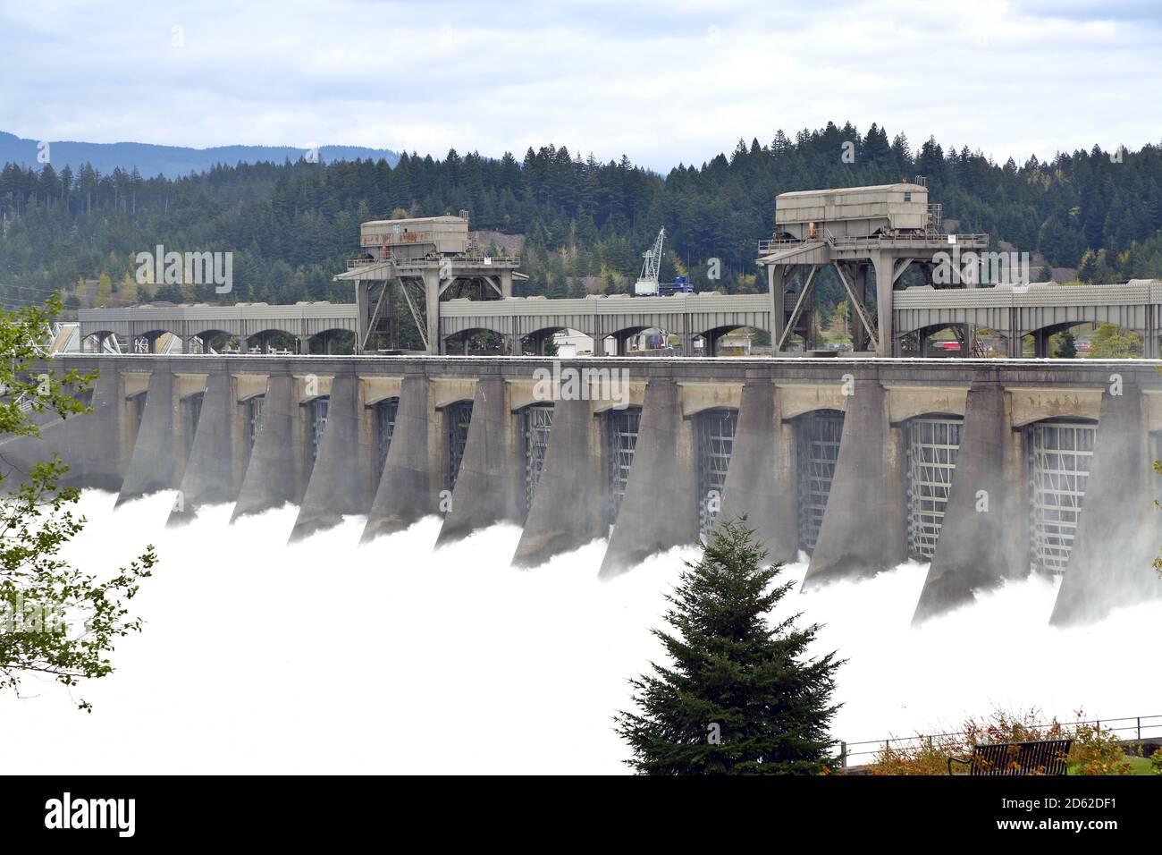 Fish ladder at bonneville dam columbia river oregon hi-res stock photography and images - Alamy