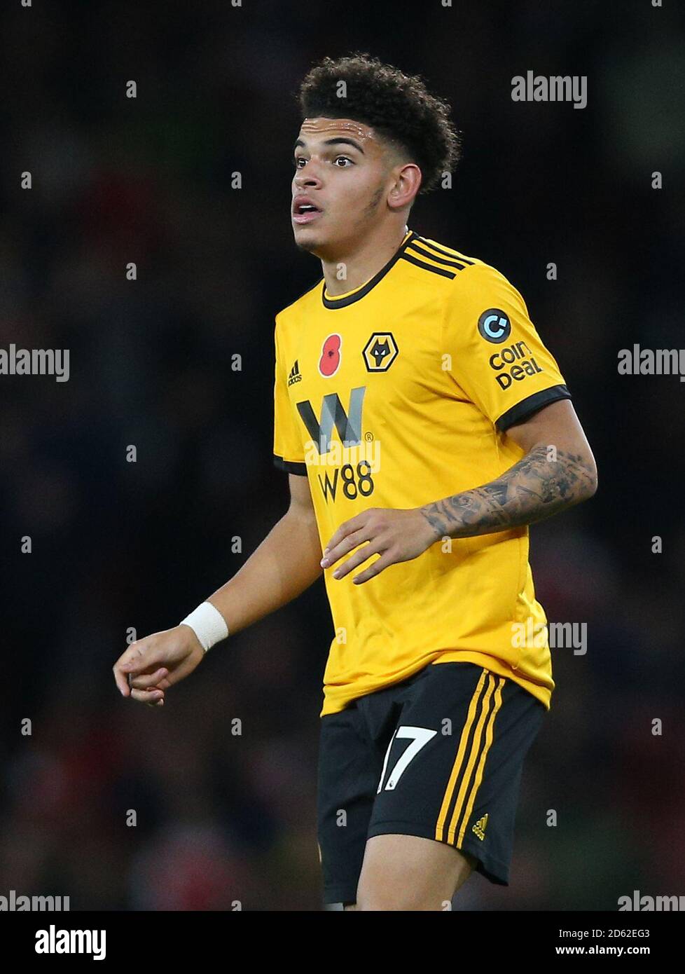 Wolverhampton Wanderers' Morgan Gibbs-White Stock Photo - Alamy