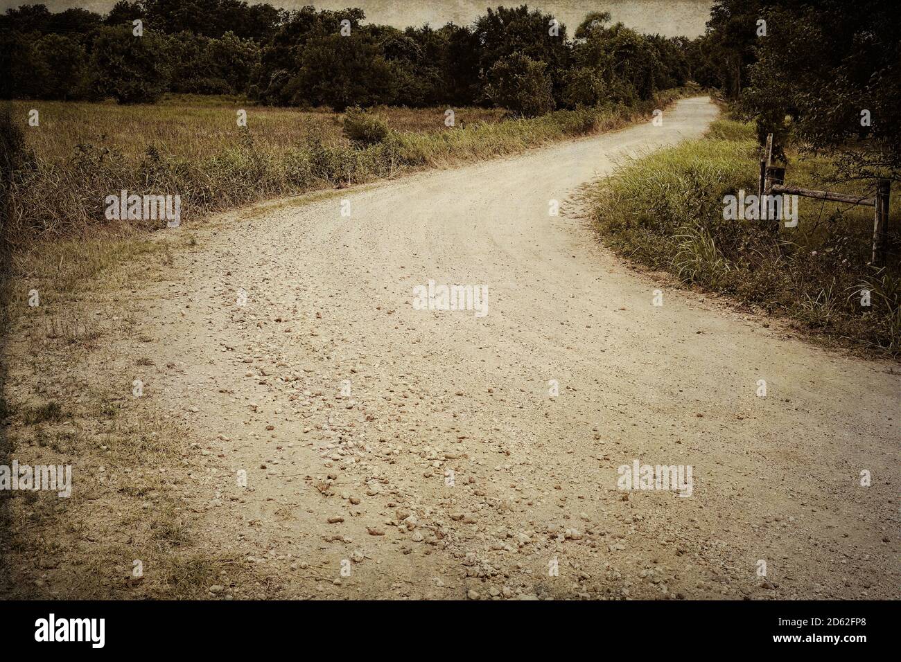 Texas curvy dirt road dividing ranch land in the Texas Hill Country ...