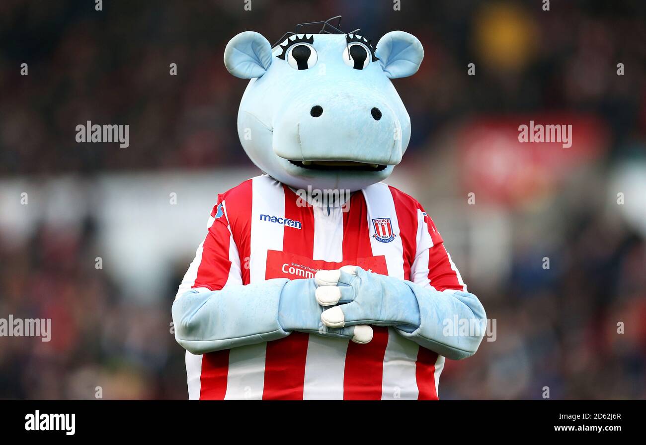 Pottermus hi-res stock photography and images - Alamy