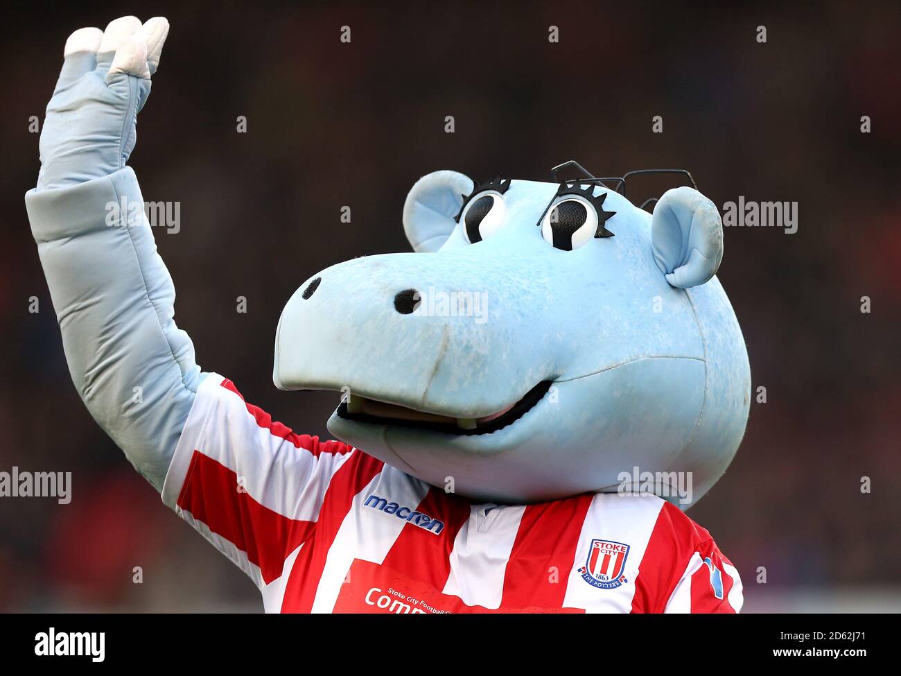 Stock mascot Pottermus Stock Photo - Alamy